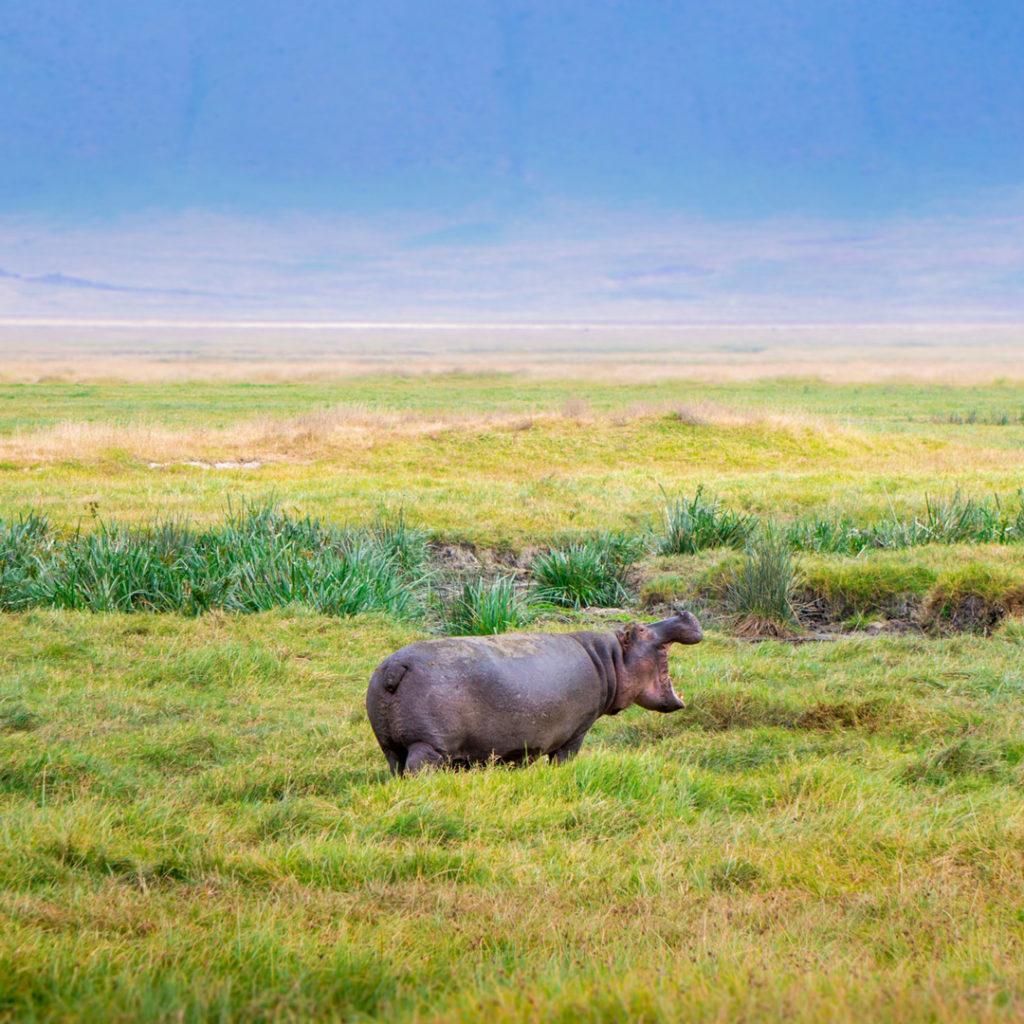 Remote African Safari Destinations | Africa-Experience