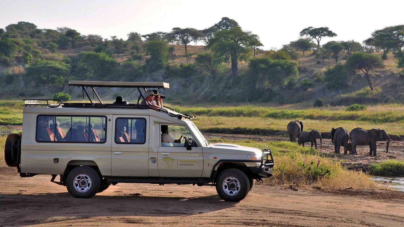 Safaris & Tours in Tanzania | Tailor-Made | Africa-Experience